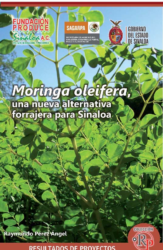 Moringa oleifera, una nueva alternativa forrajera para Sinaloa